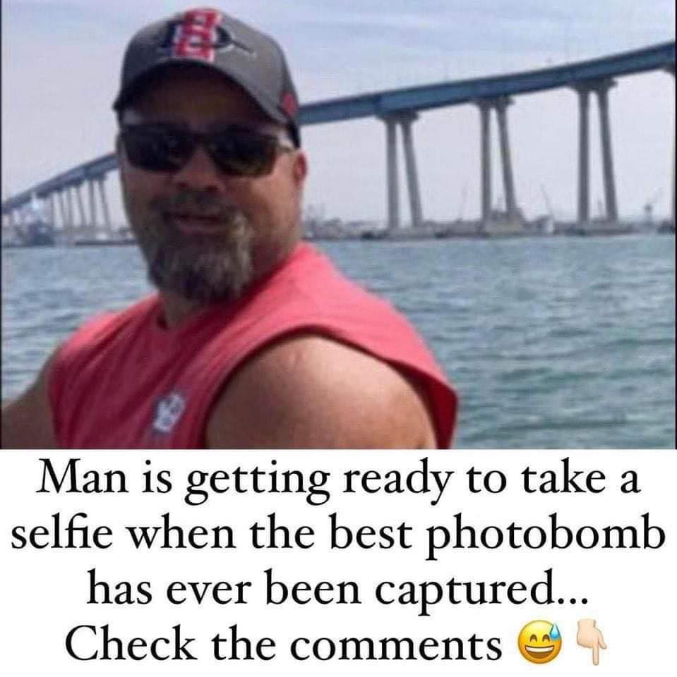 Unexpected Encounters: Who Approaches the Man During His Selfie Moment ...