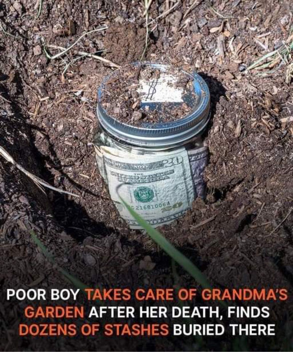 POOR BOY TAKES CARE OF GRANDMA’S GARDEN AFTER HER DEATH, FINDS DOZENS ...
