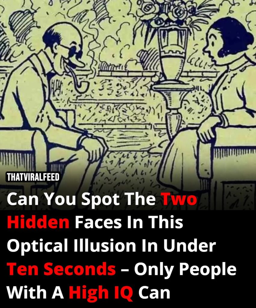 Can You Spot The Two Hidden Faces In This Optical Illusion In Under Ten ...