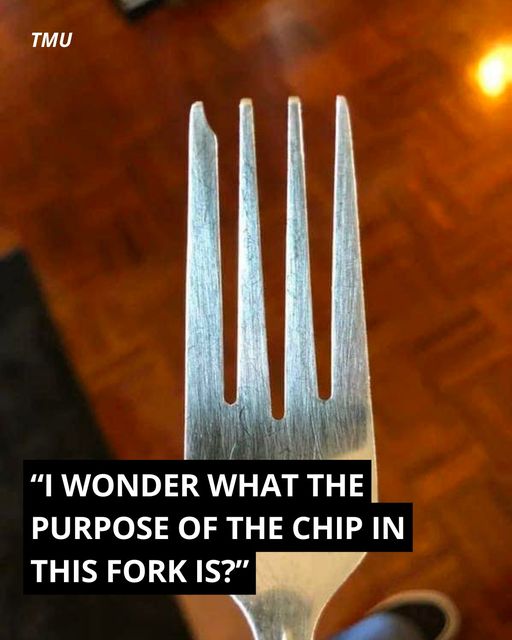 Why is There a Notch in a Cake Fork? - My Healthy Life