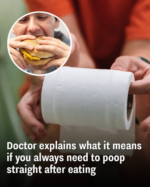 What It Means If You Always Need to Poop Straight After Eating - My ...