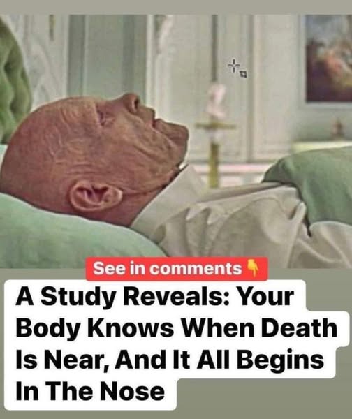 A research reveals your body knows when death is near, and it all ...