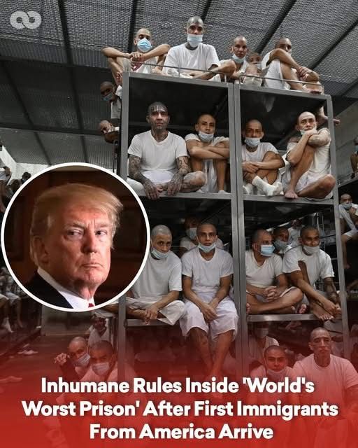 Inhumane Rules Inside ‘World’s Worst Prison’ After First Immigrants ...