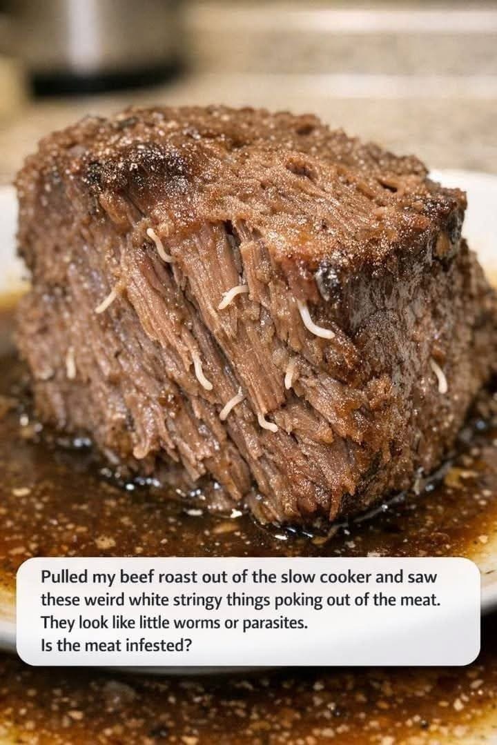 Pulled my beef roast out of the slow cooker and saw these weird white ...